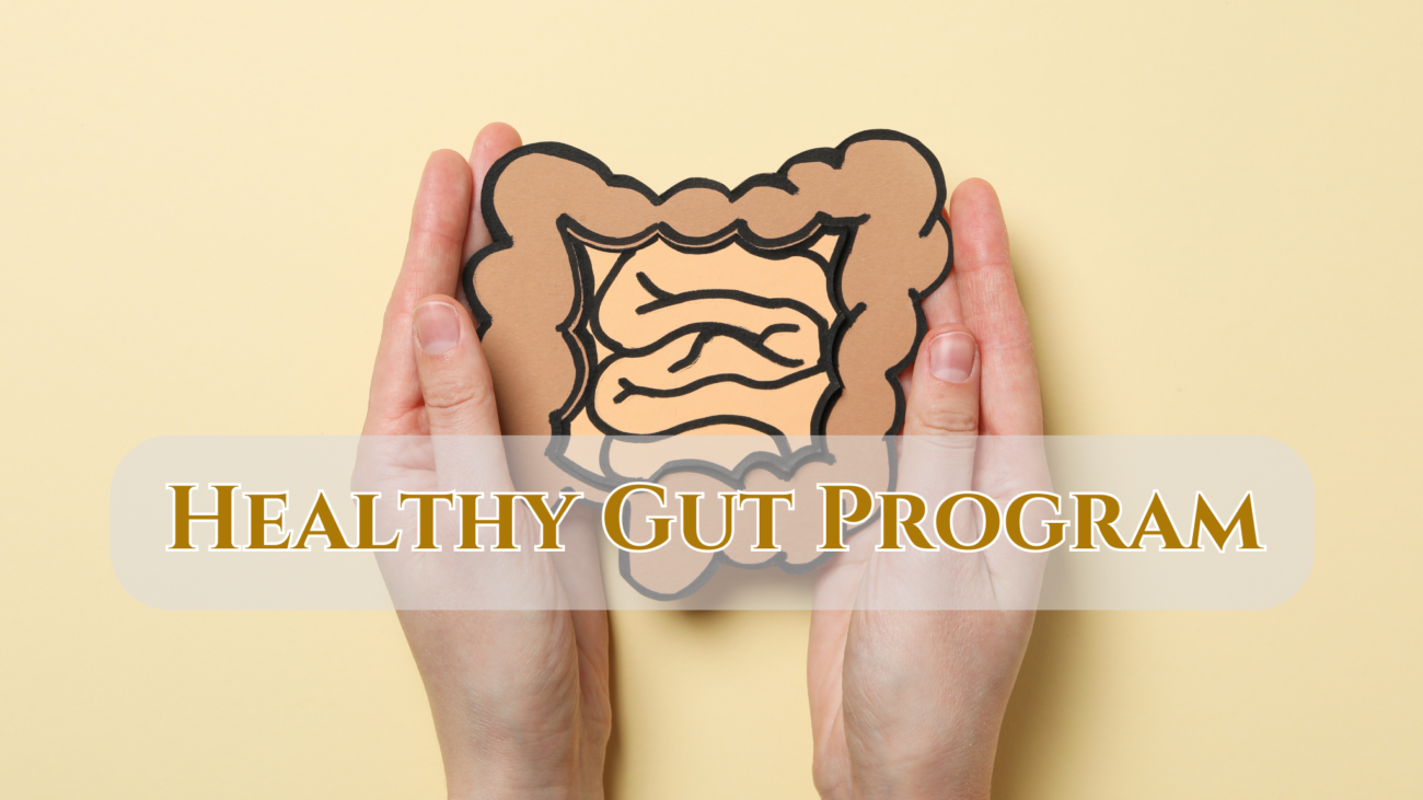 Healthy Gut Program: Cleanse, Restore, and Nourish Your Gut